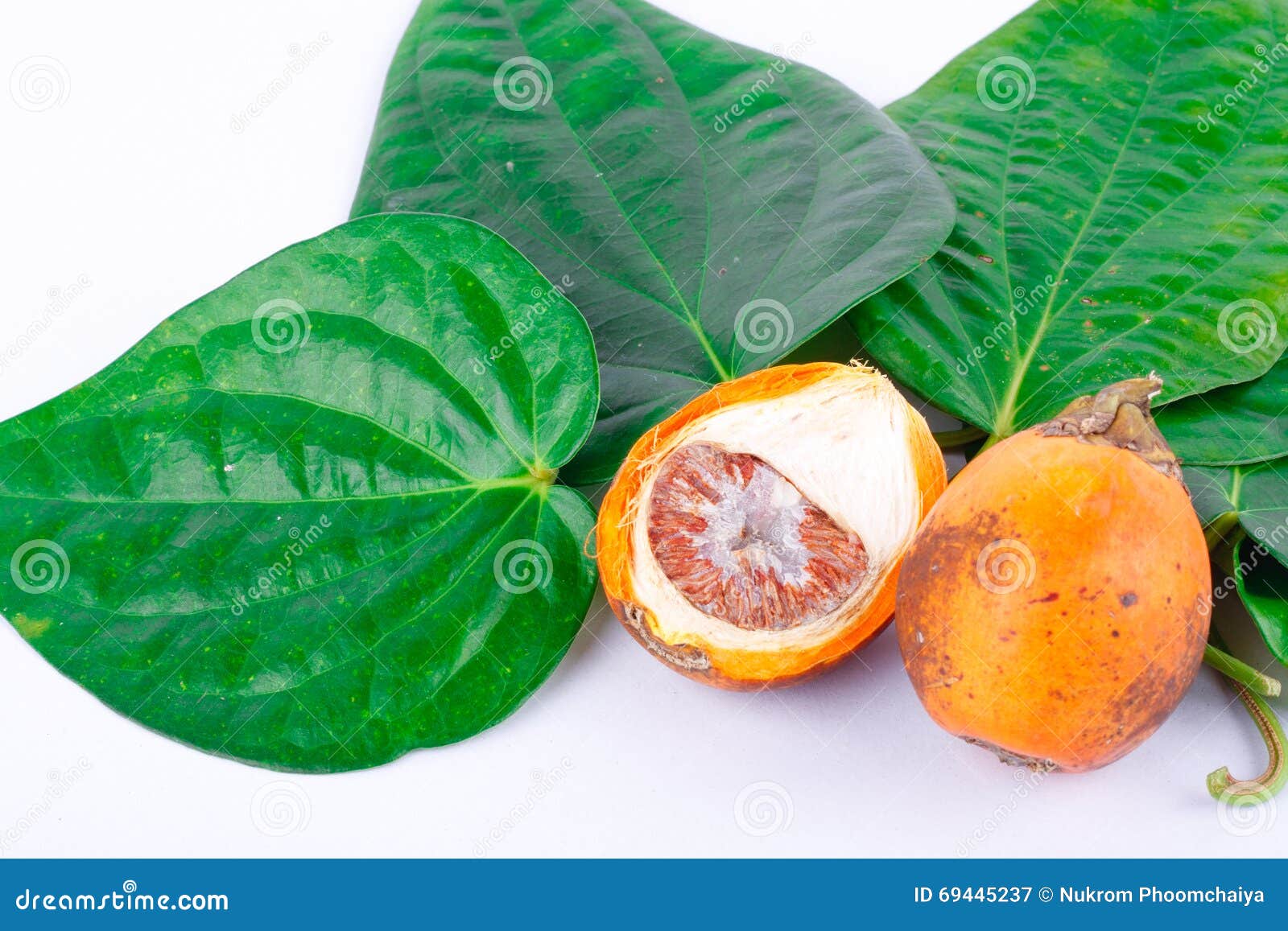 Betel Nut and Green Betel Leaf Stock Image - Image of fresh, leaf: 69445237