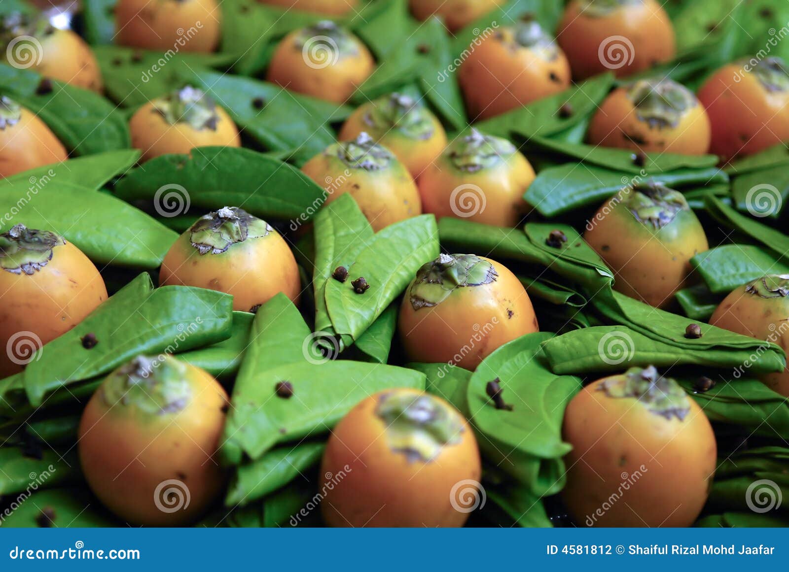 Betel nuts stock photo. Image of food, countries, arecanut - 4581812