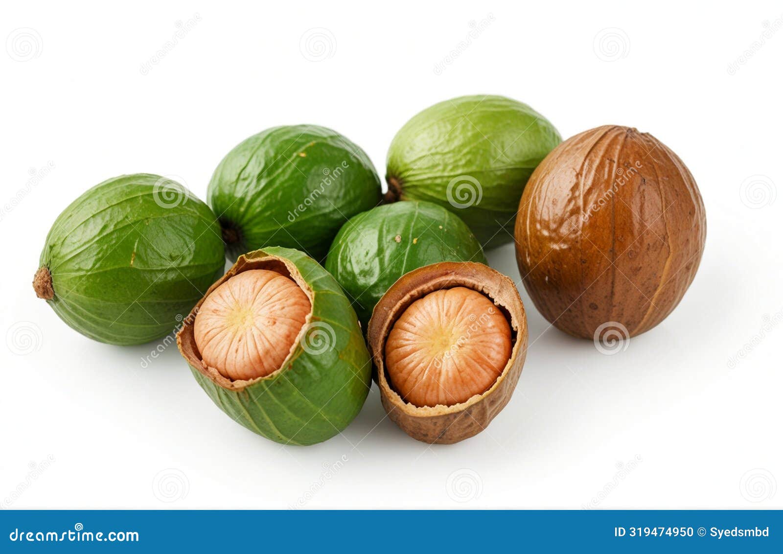 Betel Nuts, Isolated On White Background Stock Photo | CartoonDealer ...