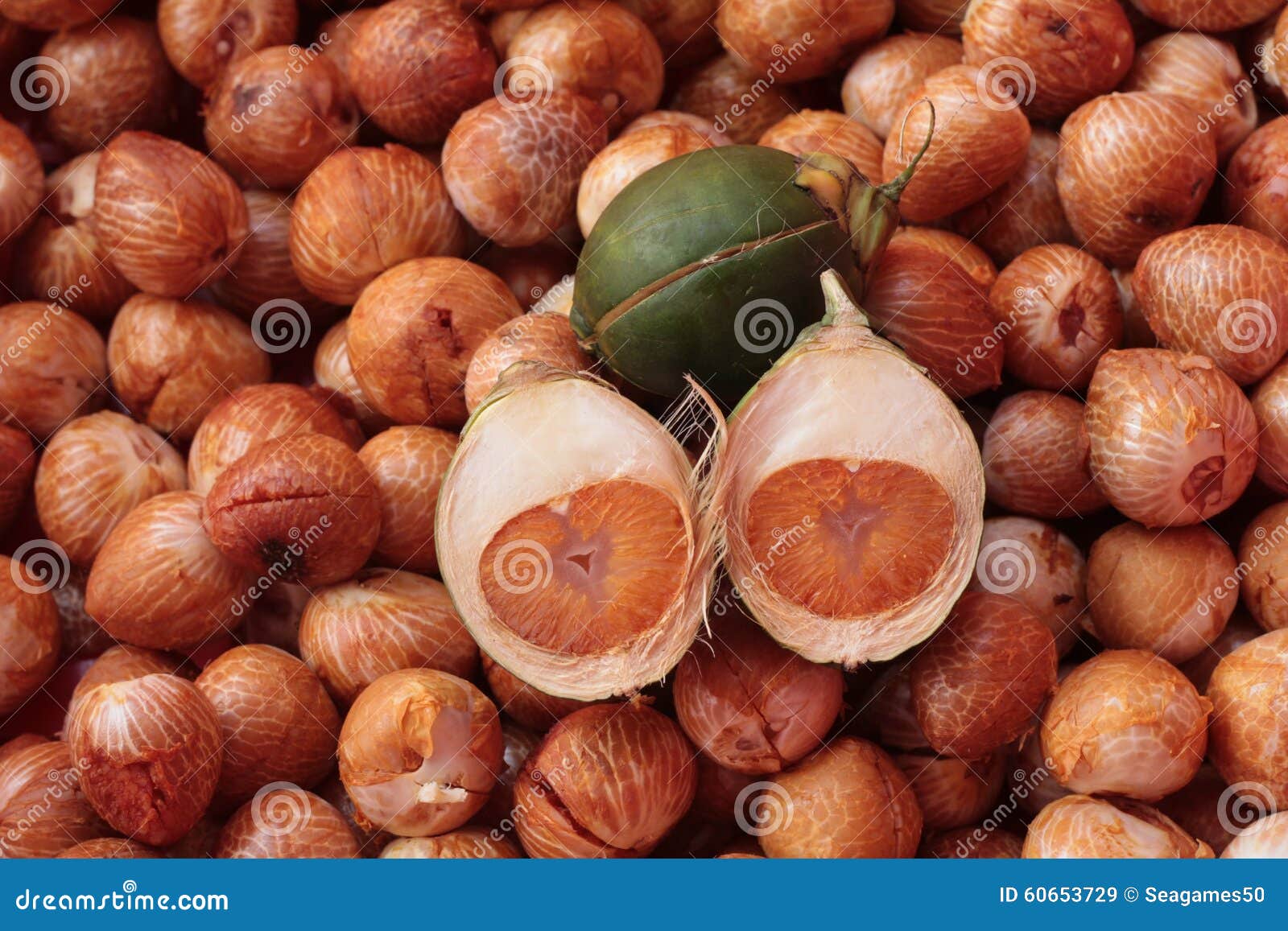 Betel palm stock image. Image of indian, slice, vietnam - 60653729