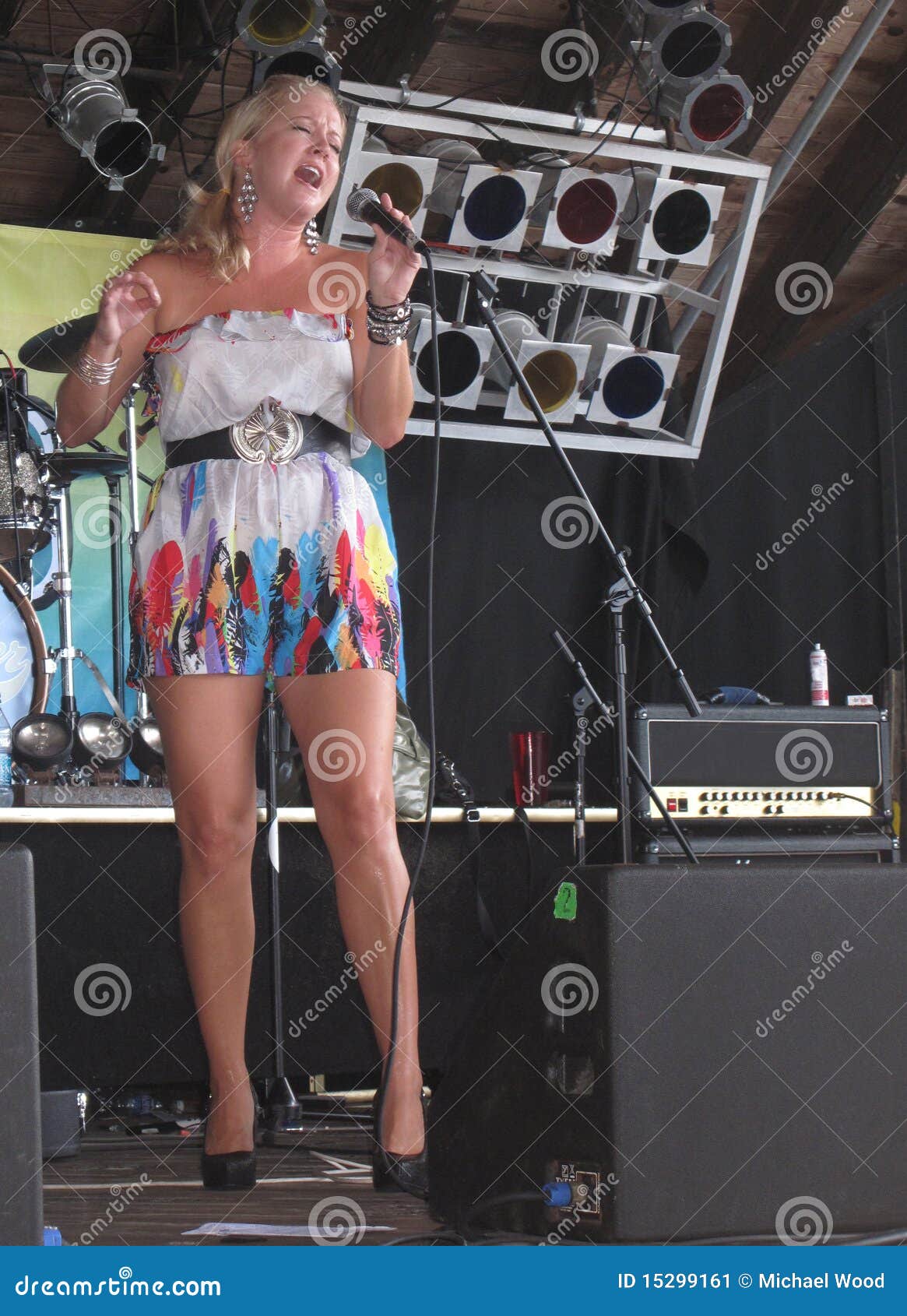 Beth Davis - Venda Americana De La Miel Foto editorial - Imagen de ...