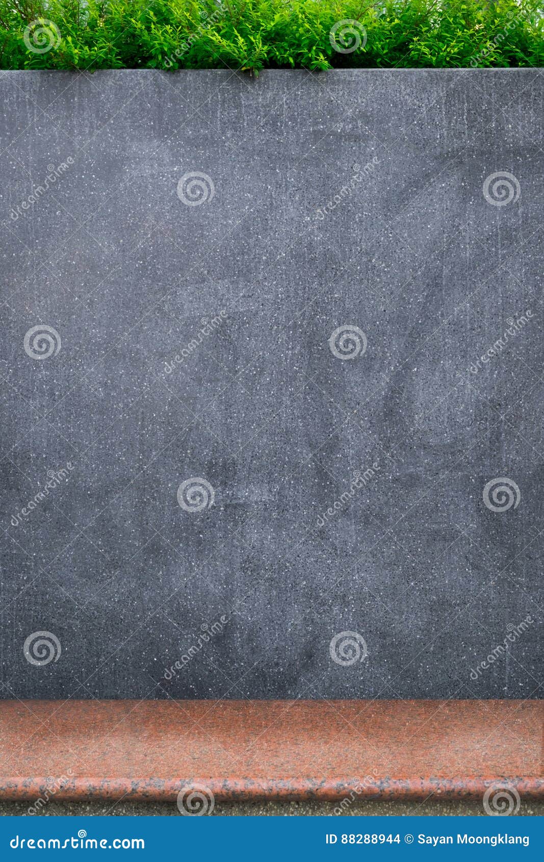 Betonmauer- Oder Marmorwand Und Marmorboden Mit Zierpflanzen Oder Efeu ...