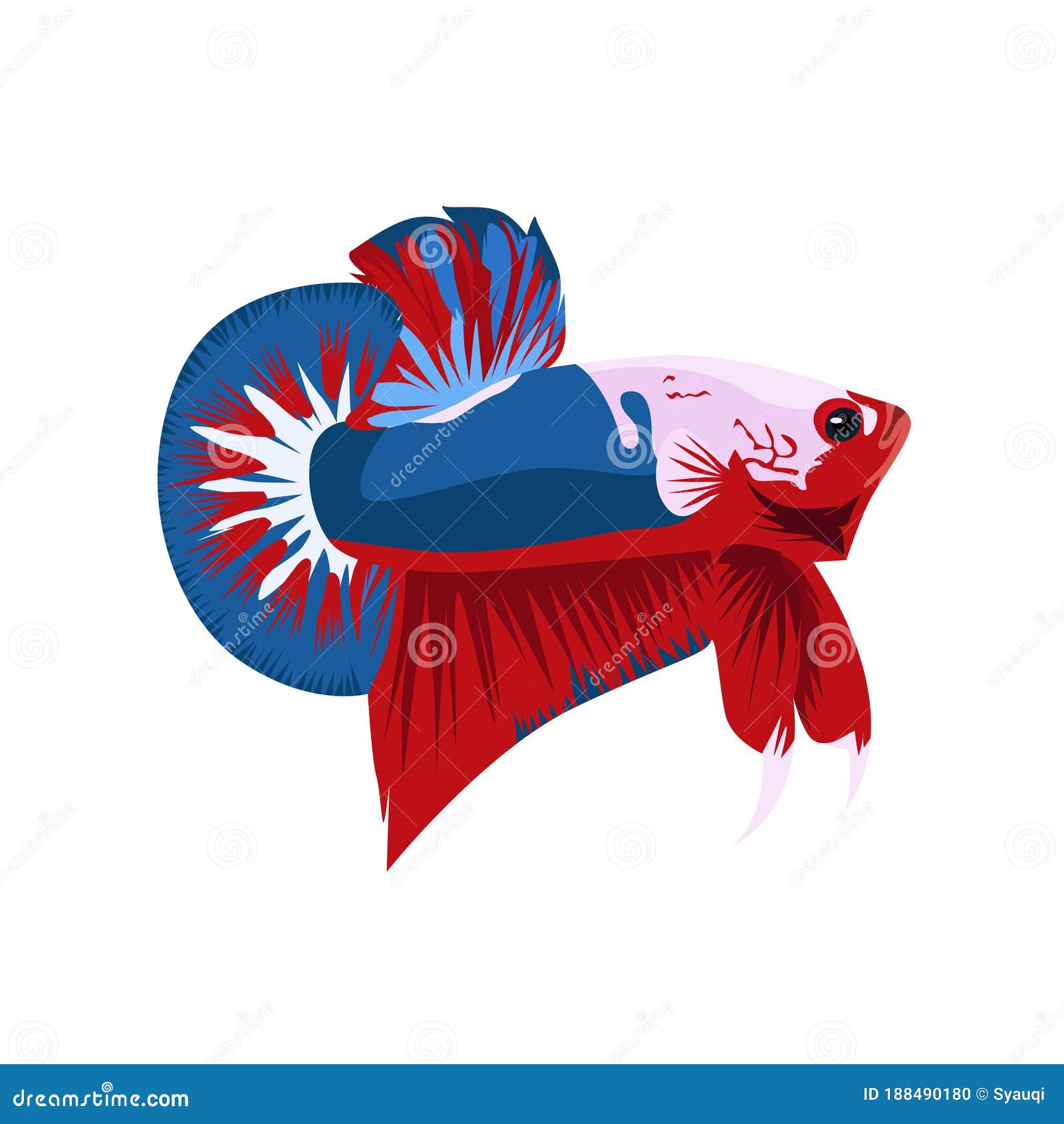Betta Fancy Logo Vector Illustration Stock Vector - Illustration of ...