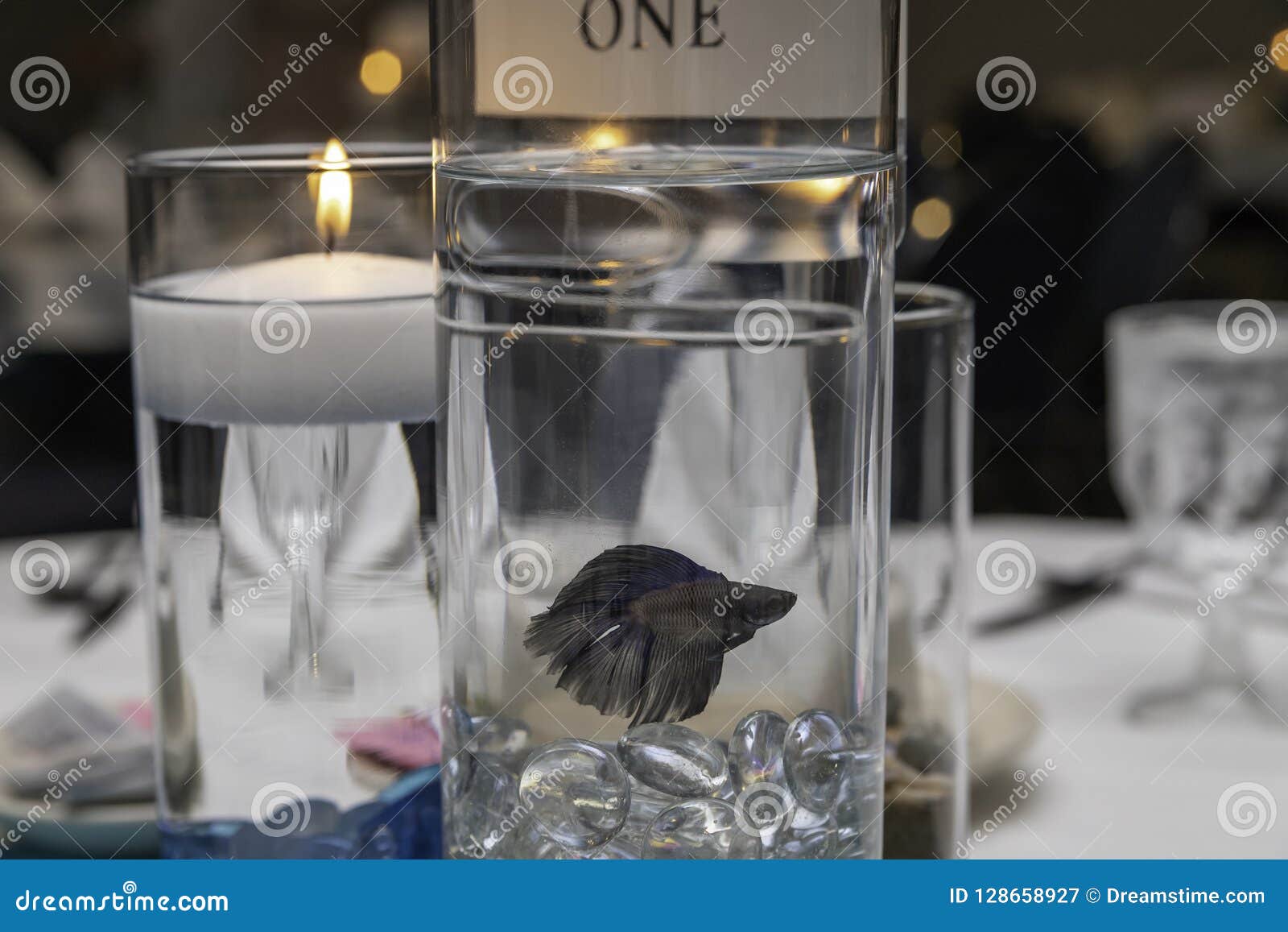 Betta fish wedding centerpiece 60 photos - Astyledwedding.com