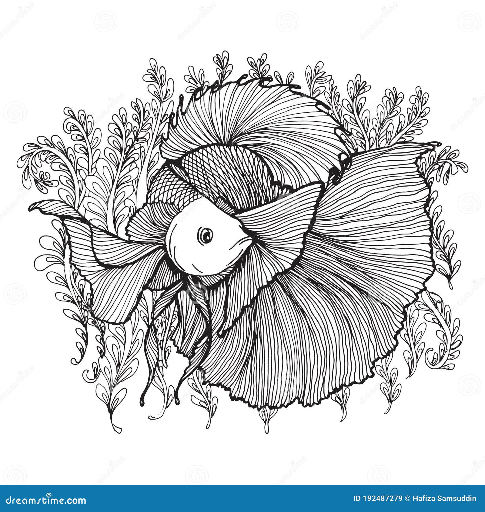Betta Fish Design. Vector Illustration Decorative Design Stock Vector ...