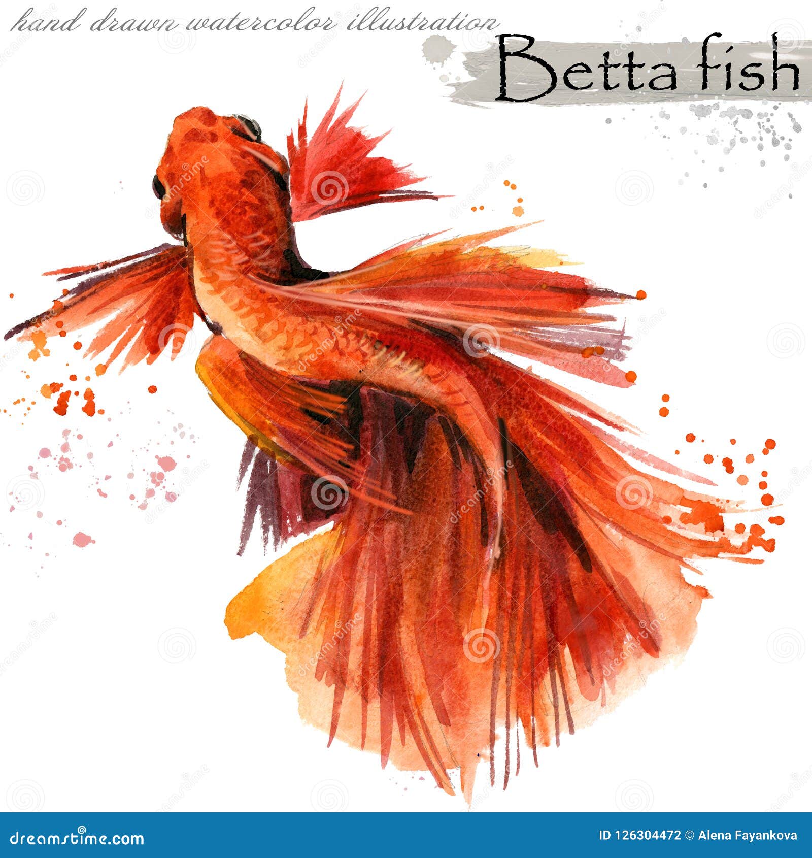 Betta Fish With Green Tiger Barb Vector Posters | CartoonDealer.com ...
