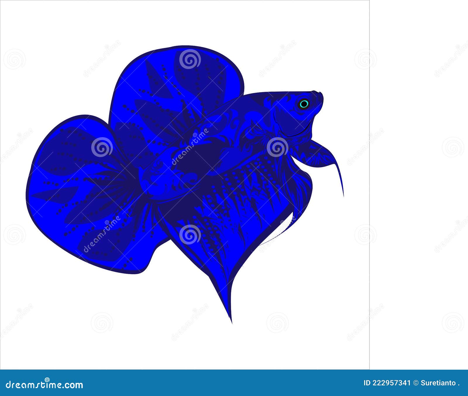 Betta Fish Illustration Vector ImageBasic RGB Stock Vector ...