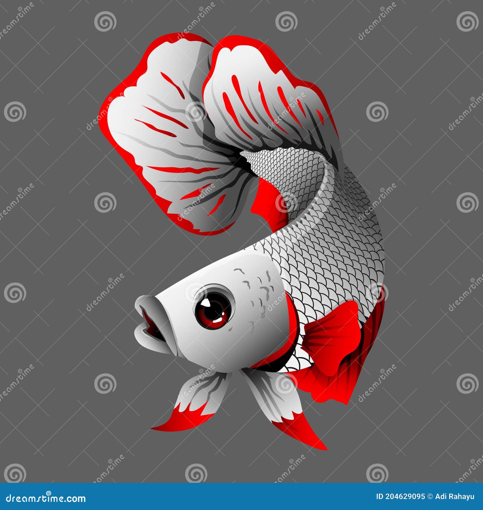 Betta Fish Japan Color Vector Image. Stock Vector - Illustration of ...