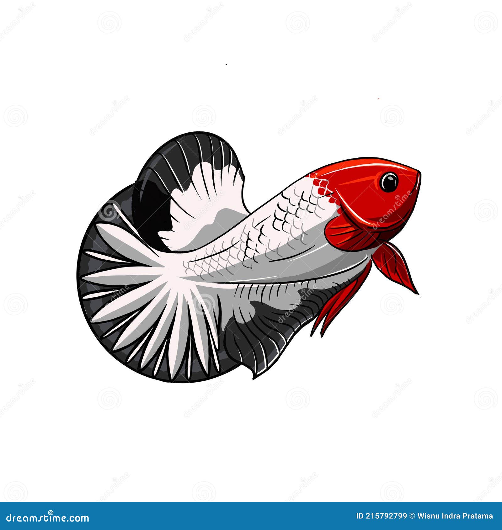 Betta Fish Vector stock image. Illustration of retro - 215792799