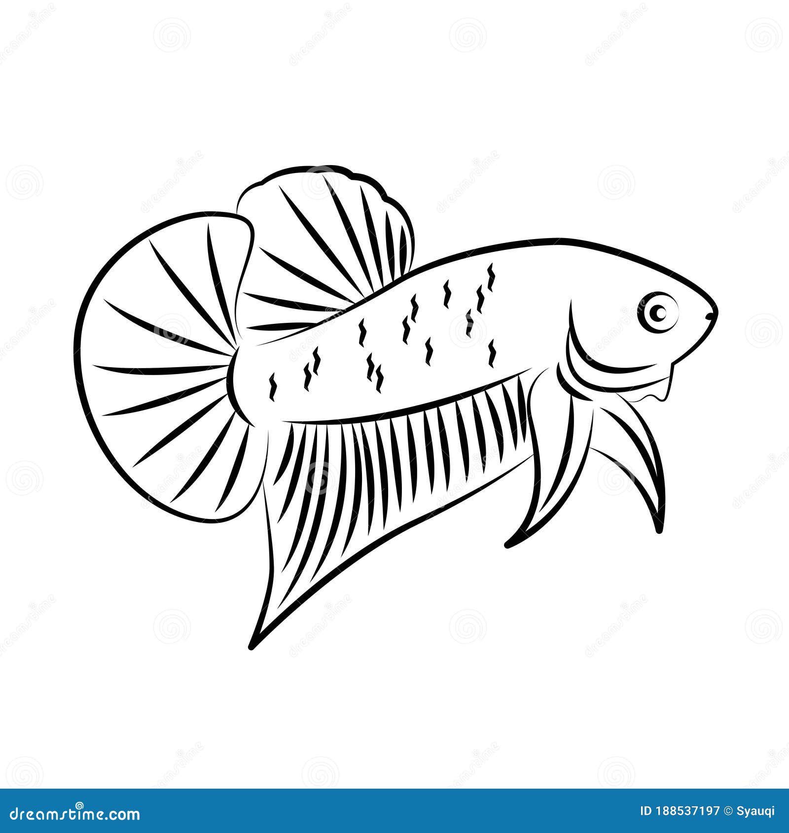 Betta Wild Line Art Minimalist Vector Stock Vector - Illustration of ...
