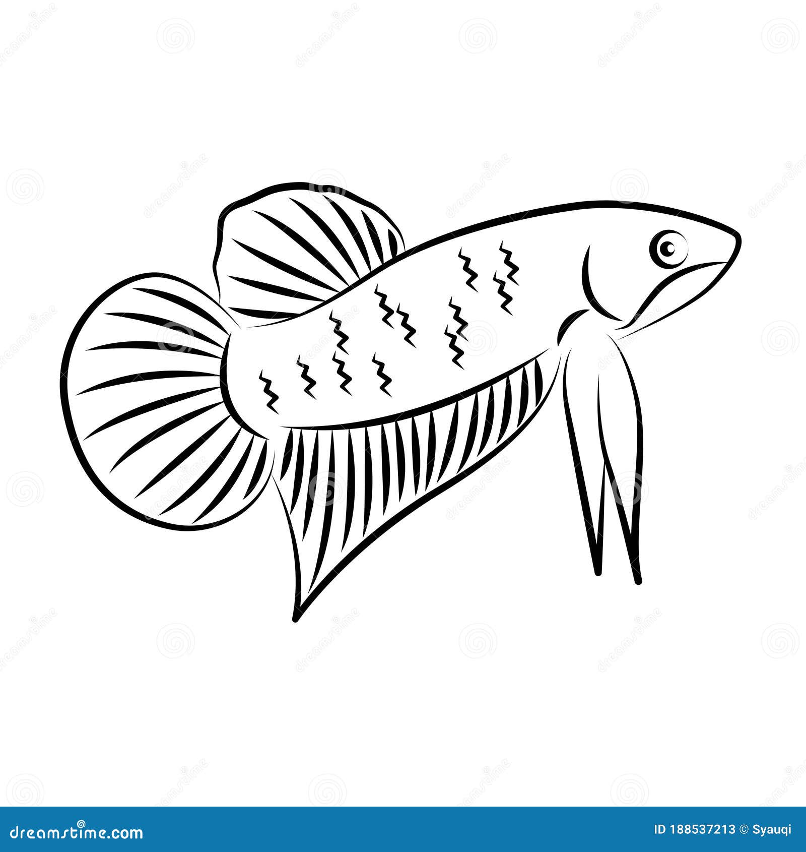 Betta Wild Line Art Minimalist Vector Stock Vector - Illustration of ...