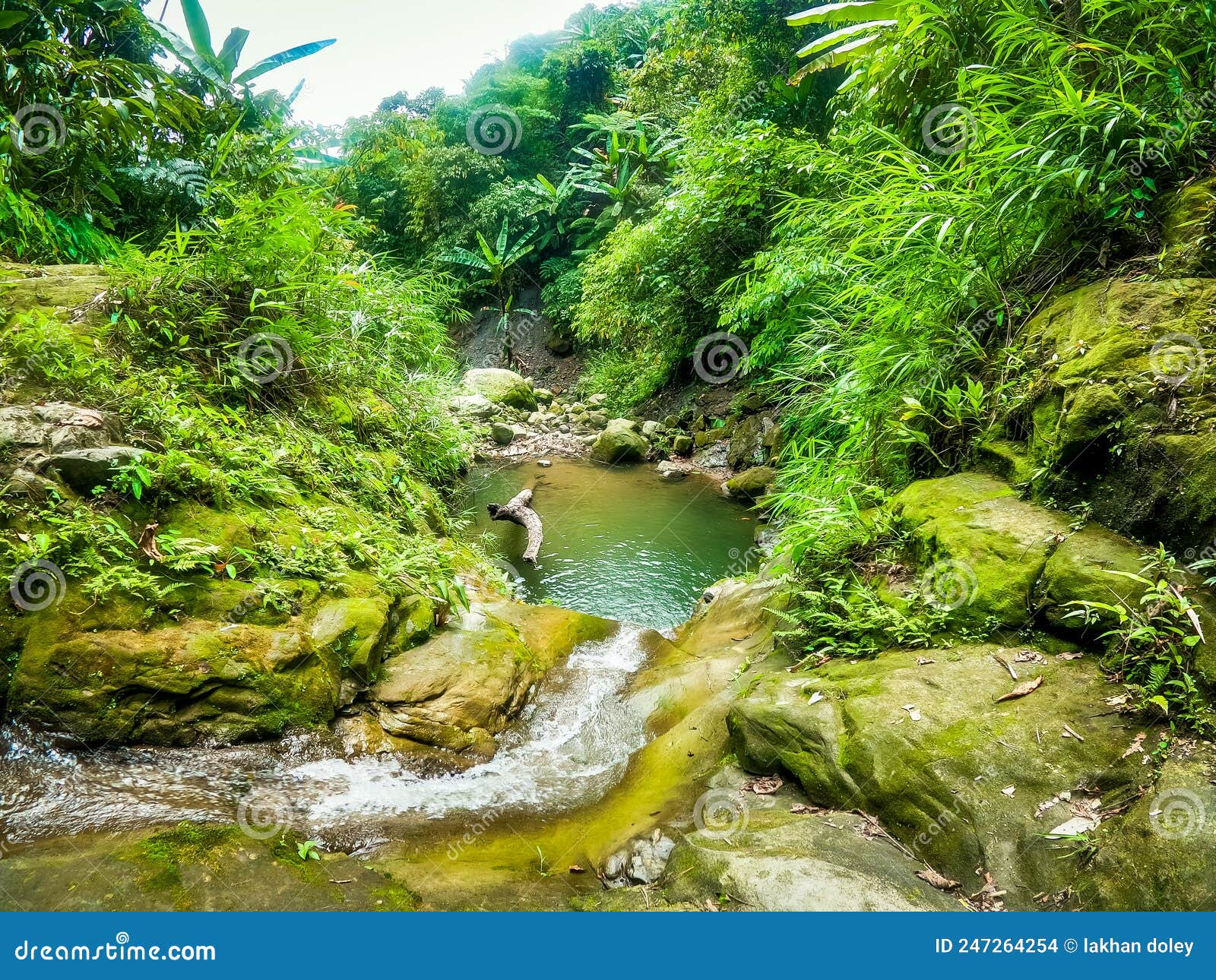 Better Environment Better Tomorrow, Save the Planet Earth Stock Photo ...