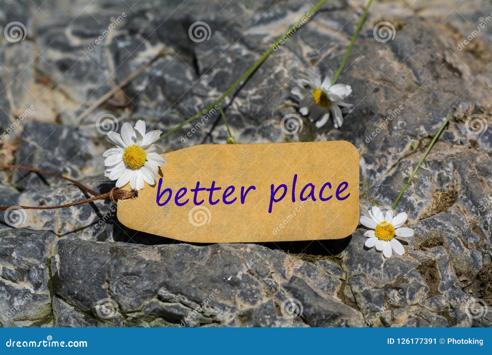 Better place label stock image. Image of choose, post - 126177391