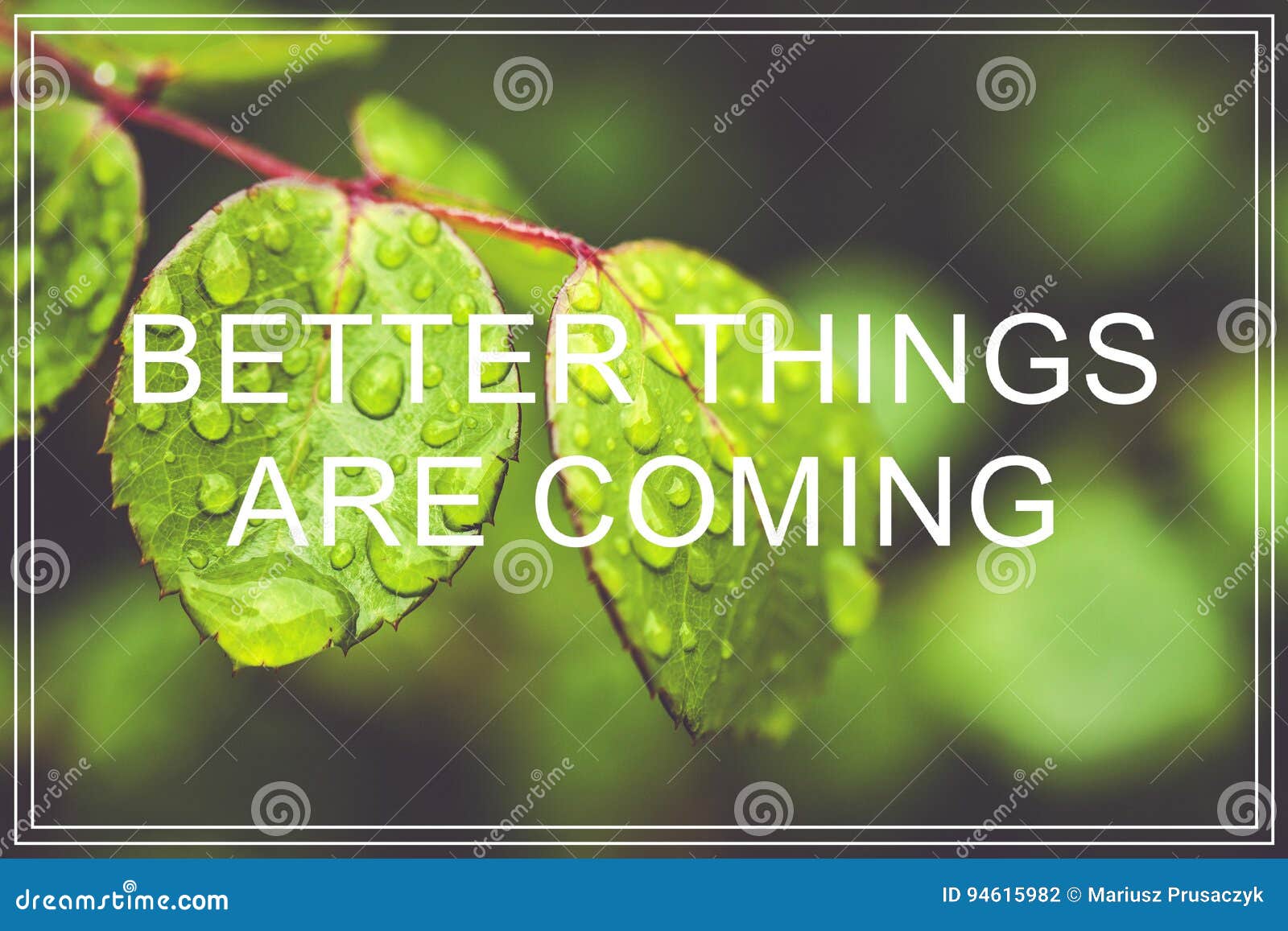 Better Things are Coming. Green Leaves Background. Stock Photo - Image ...