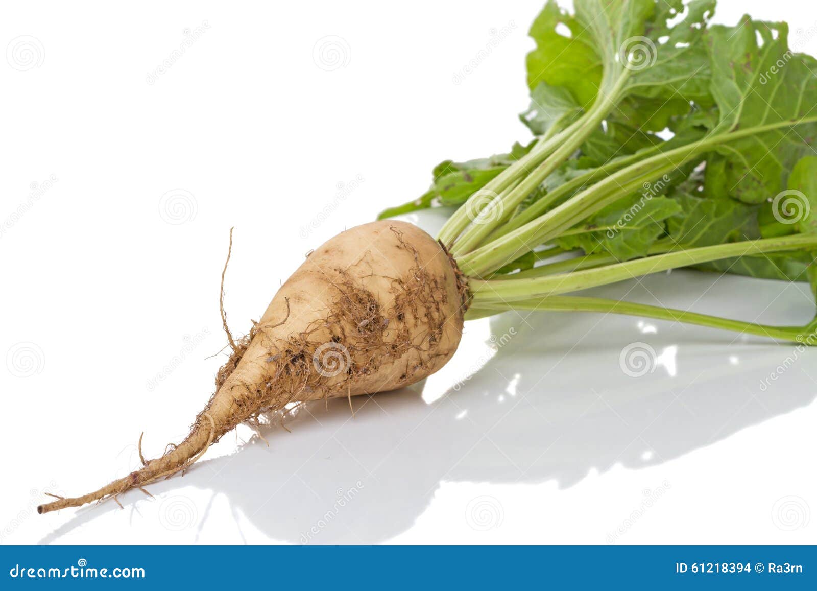 Betterave à Sucre Sur Une Surface Blanche Photo stock - Image du ...