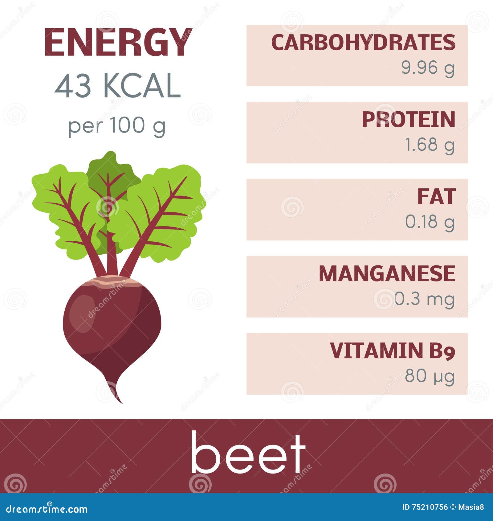 Betterave infographic illustration stock. Illustration du jardin - 75210756