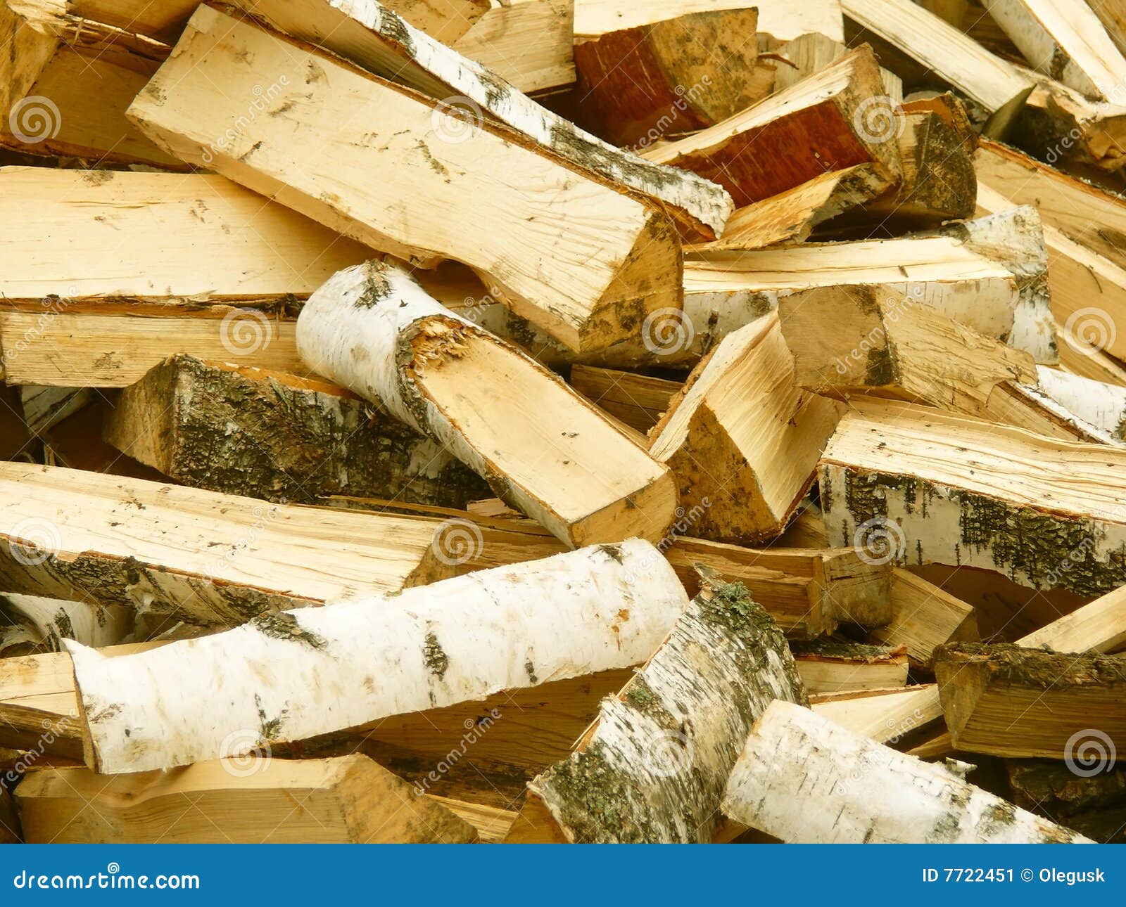 Betulla di legno del fuoco immagine stock. Immagine di razza - 7722451