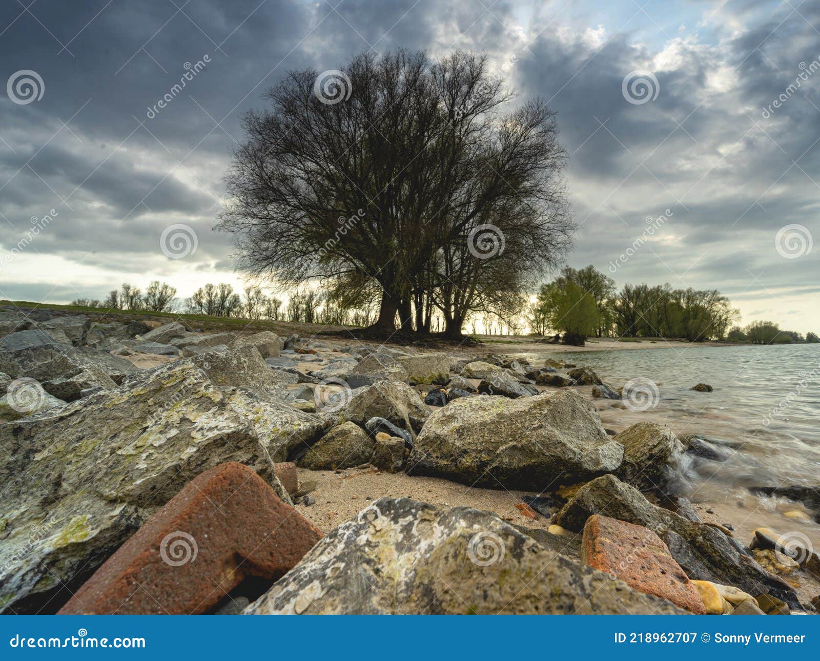 Beuningse Uiterwaarde stock image. Image of animal, nature - 218962707