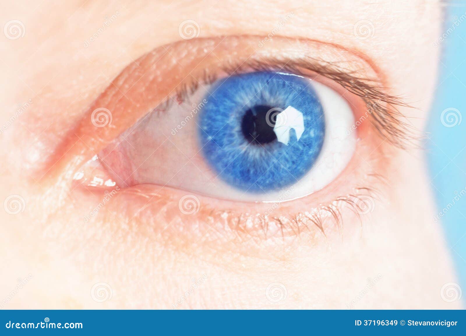 Beutiful female blue eye stock image. Image of watching - 37196349