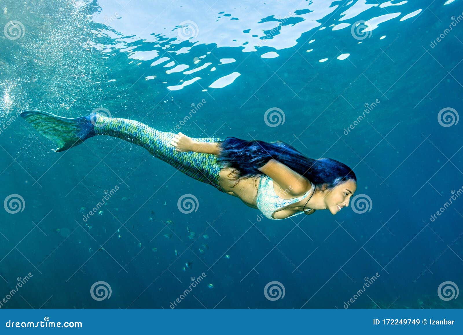 Mermaid Swimming Underwater In The Deep Blue Sea Stock Image Image Of