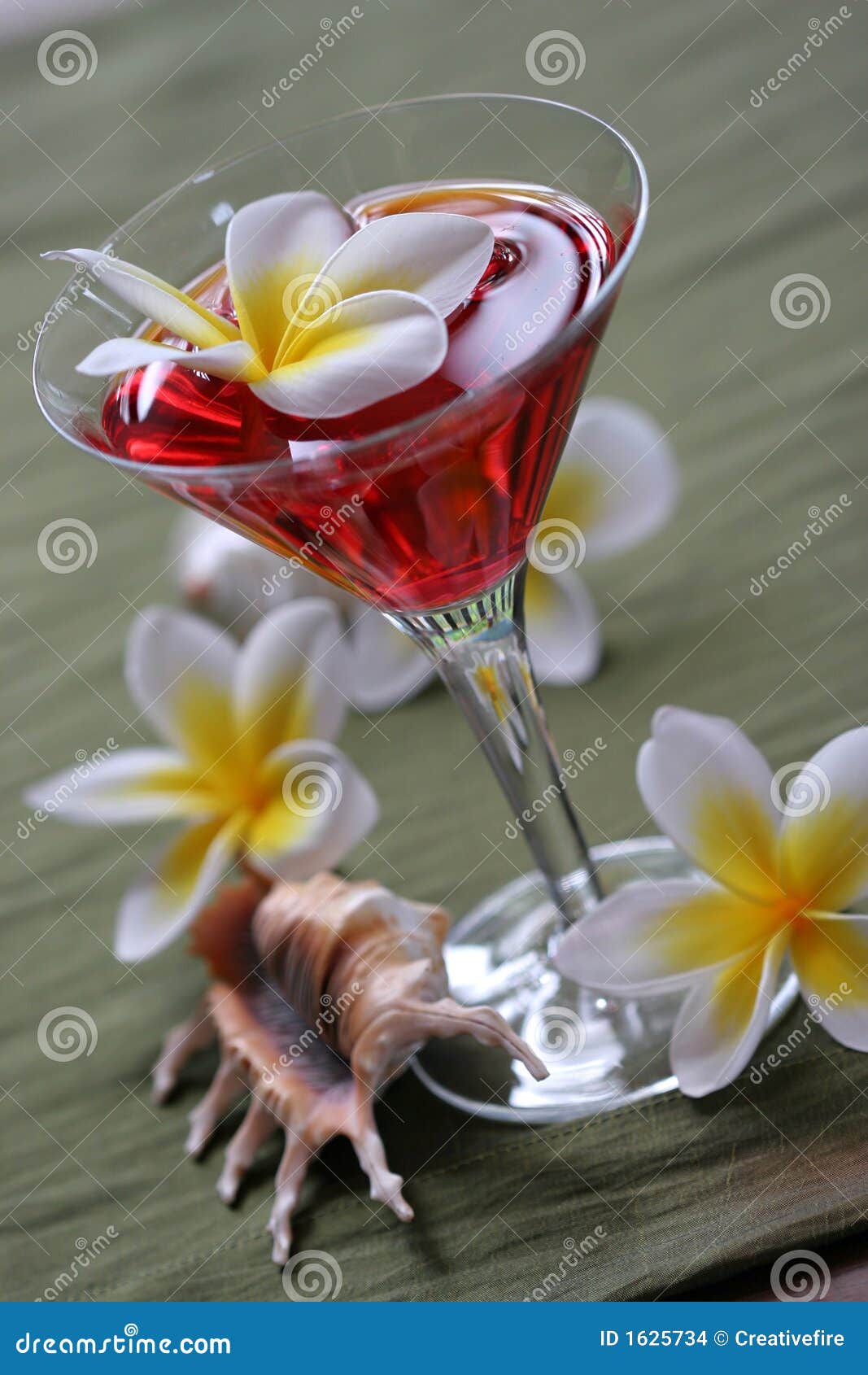 Bevanda Tropicale Del Punzone Di Plumeria Fotografia Stock - Immagine ...