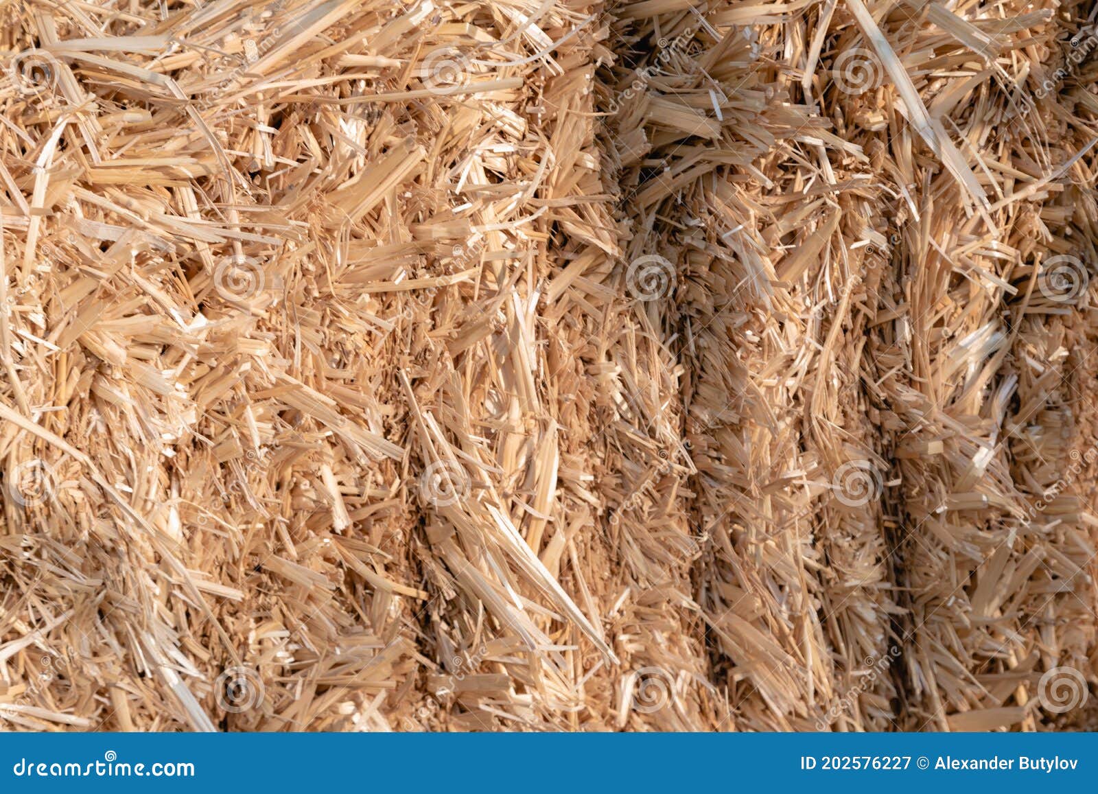 A Beveled Straw. Close-up. Background Stock Image - Image of ripe ...
