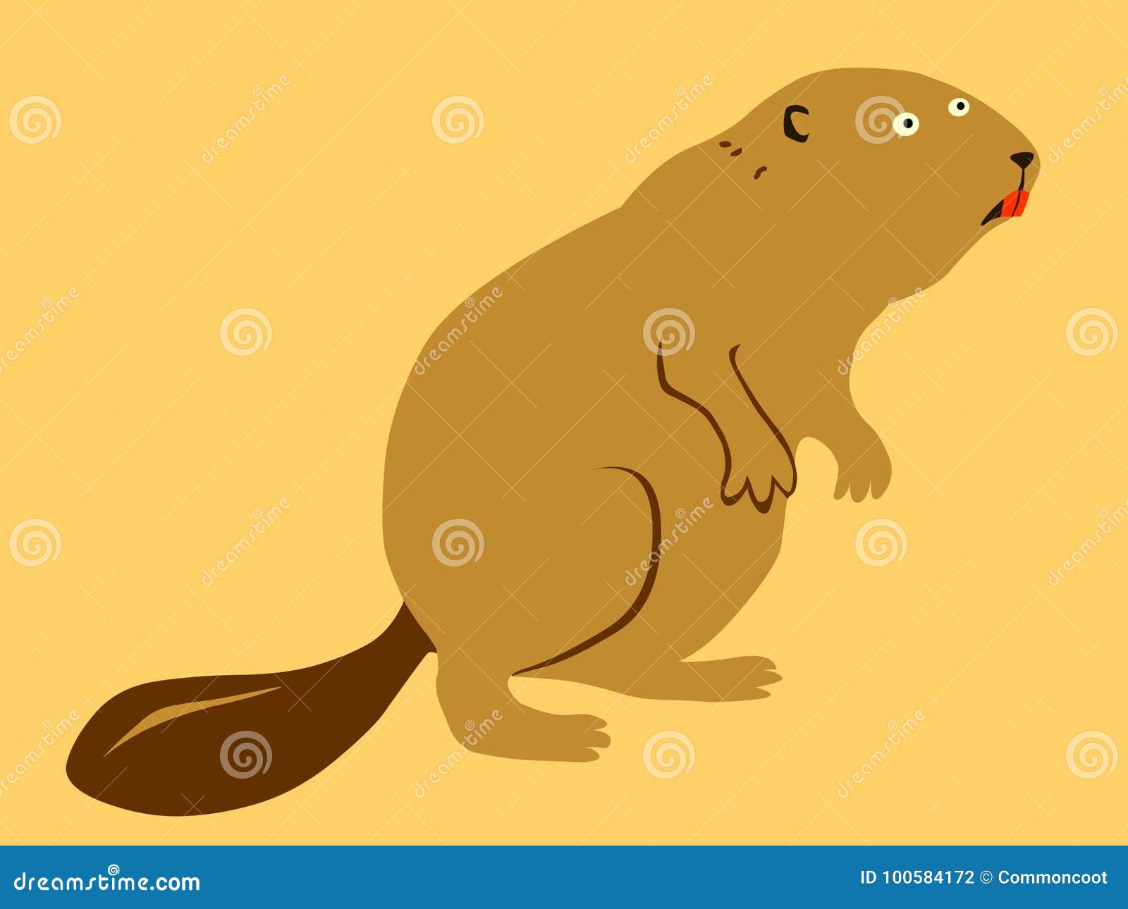 Bever stock illustratie. Illustration of staart, tanden - 100584172