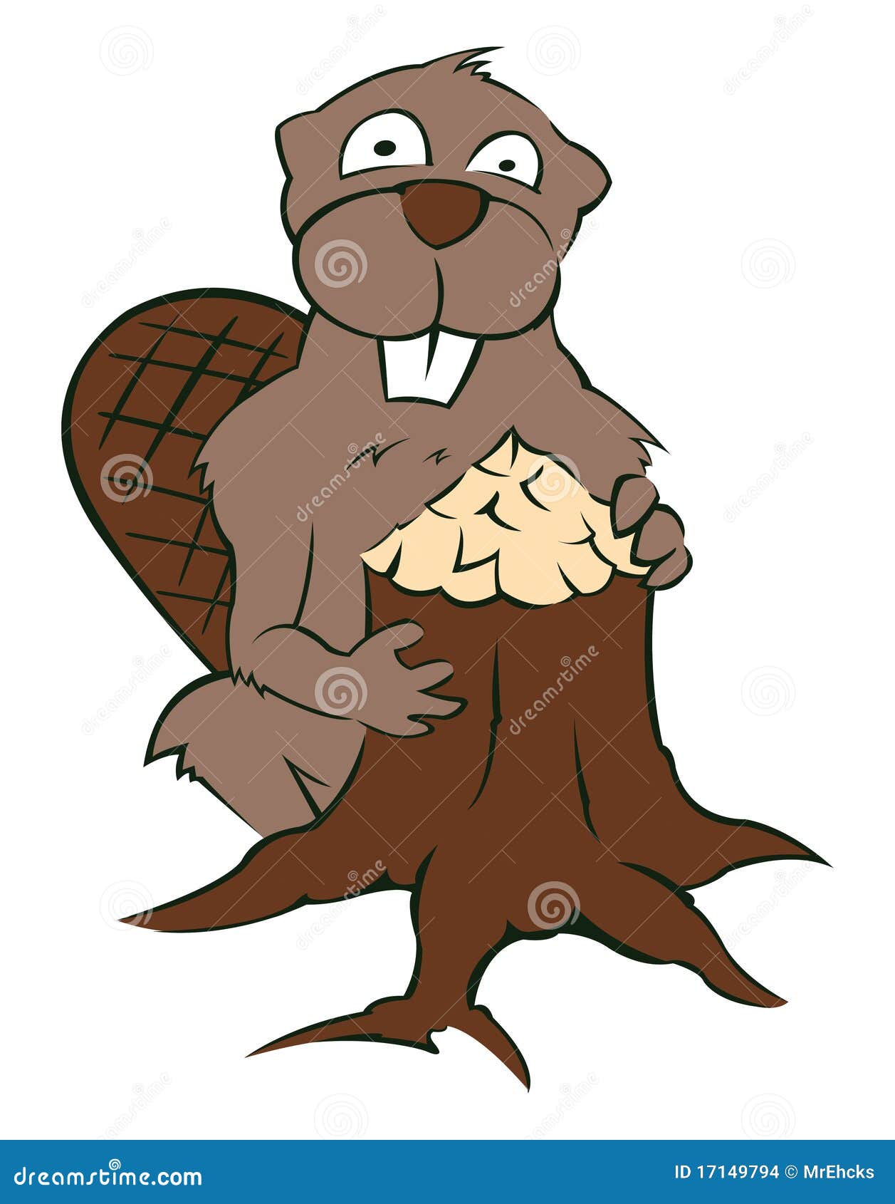 Bever vector illustratie. Illustration of hout, tanden - 17149794