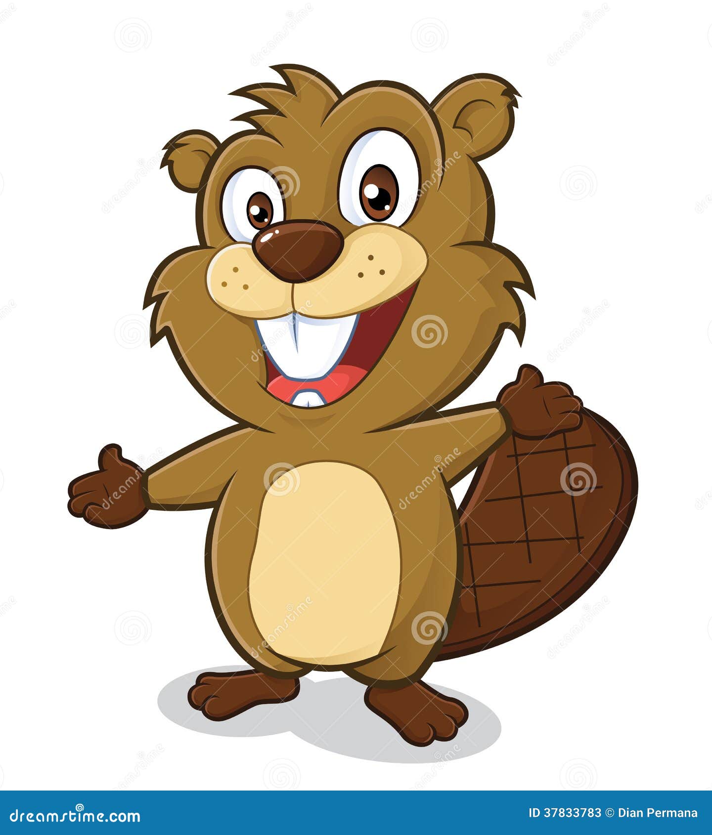 Bever in Het Instemmen Van Met Gebaar Vector Illustratie - Illustration ...