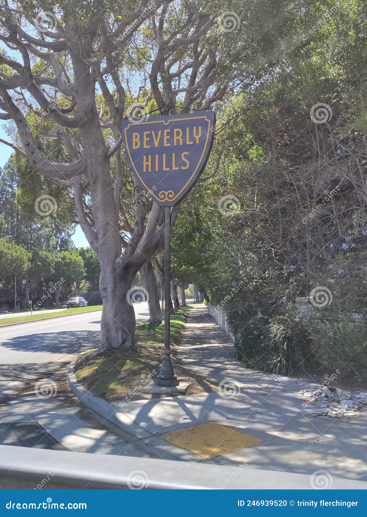 The Beverly Hills sign editorial image. Image of flower - 246939520