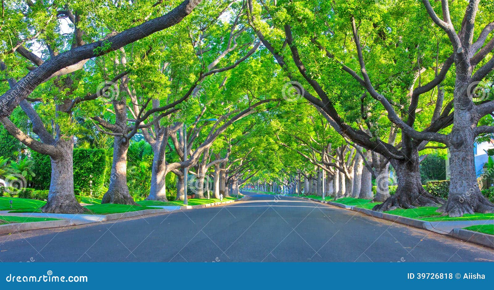 Beverly Hills Street stock photo. Image of paved, county - 39726818