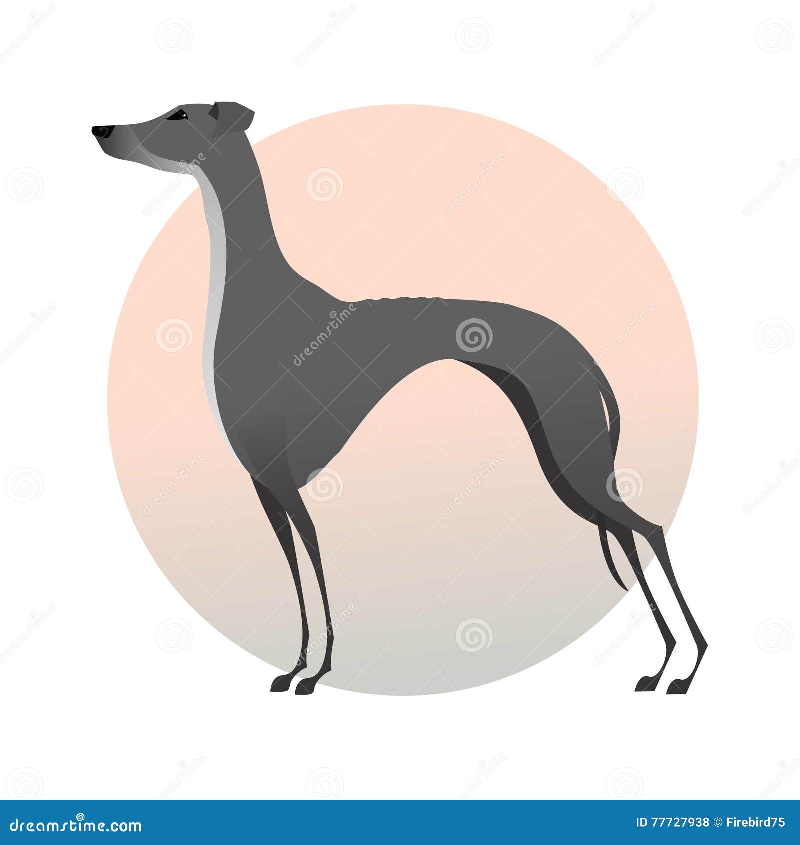 Bevindende Windhond Op Achtergrond Gestileerde Beeldhond Vector ...