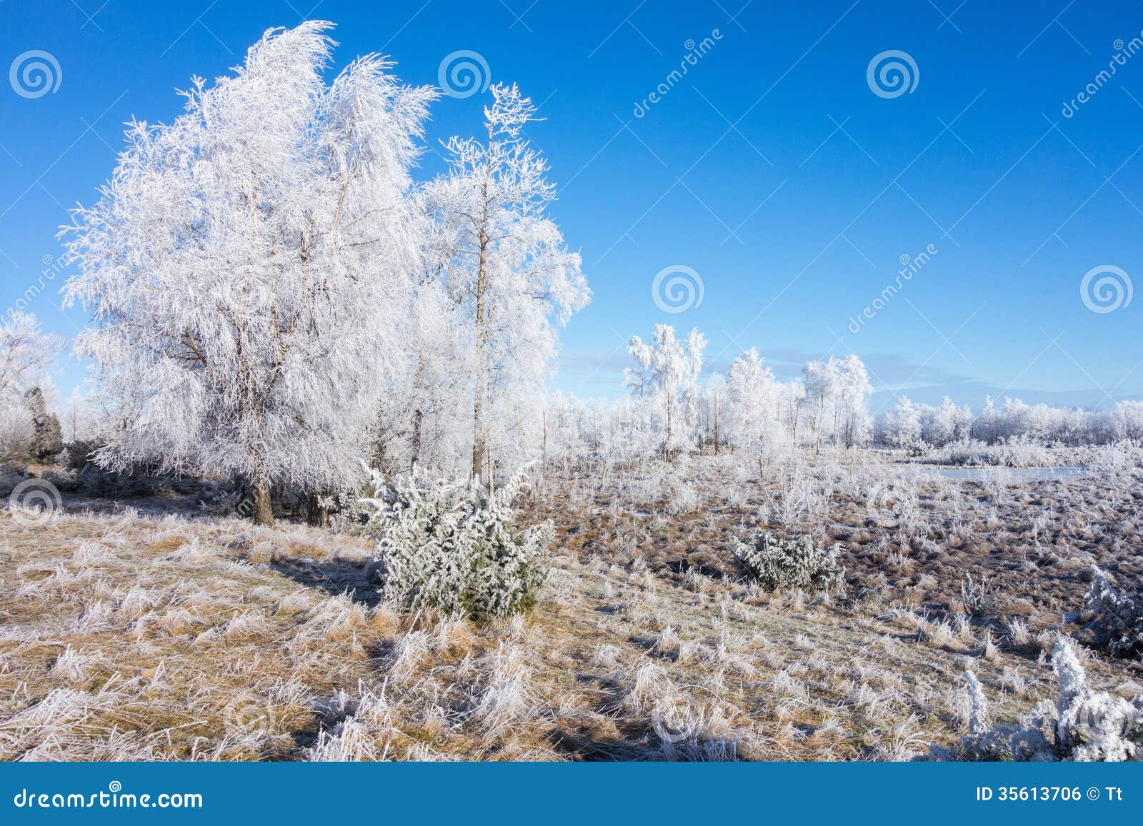 Bevroren landschap stock foto. Image of gebied, niemand - 35613706
