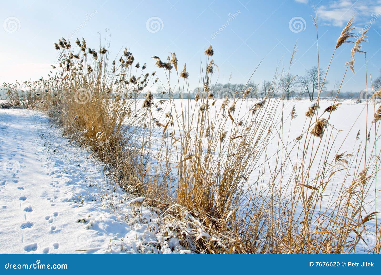 Bevroren landschap stock foto. Image of december, mooi - 7676620