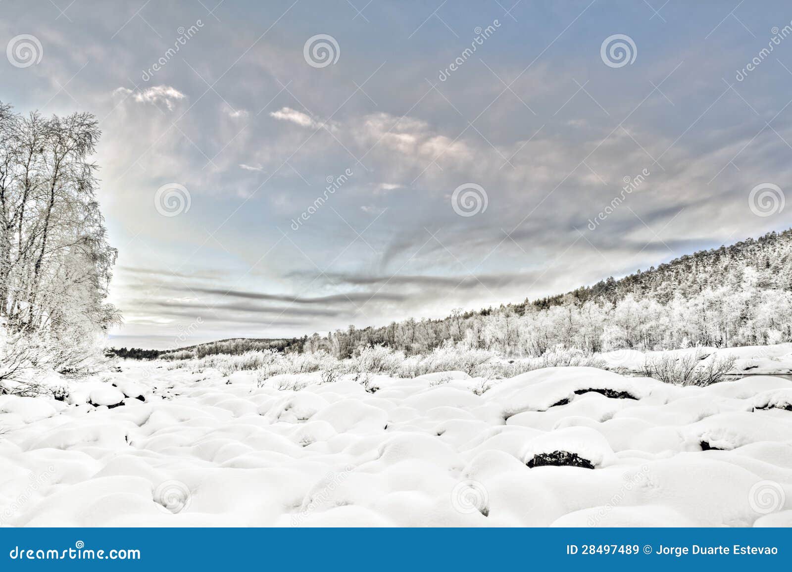 Bevroren Meer in Inari, Finland Stock Afbeelding - Image of mooi ...