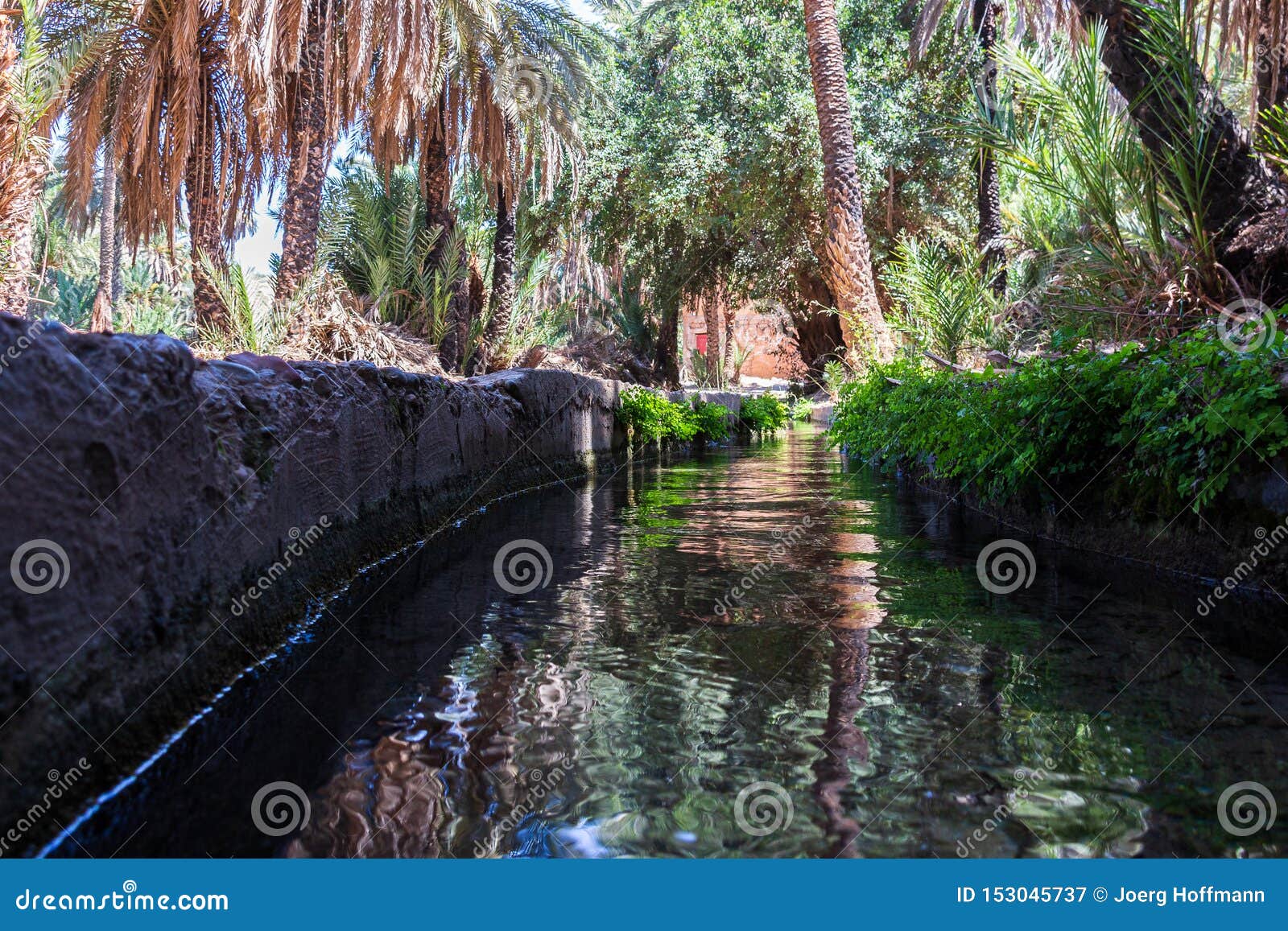 Irrigation System in the Oasis of Tiout Stock Image - Image of nature ...