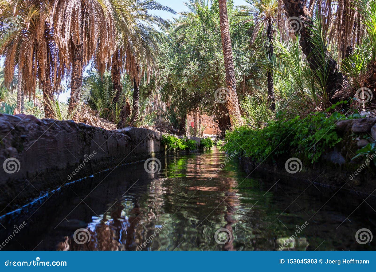 Irrigation System in the Oasis of Tiout Stock Image - Image of scenery ...