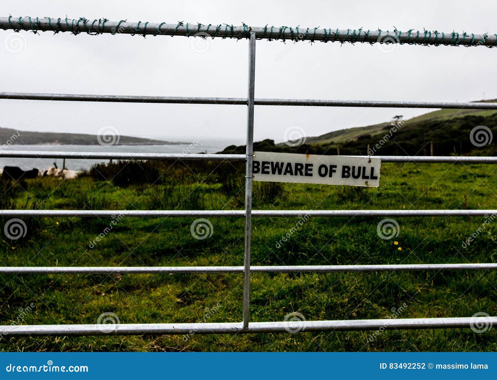 Beware of bull stock photo. Image of farmer, warning - 83492252