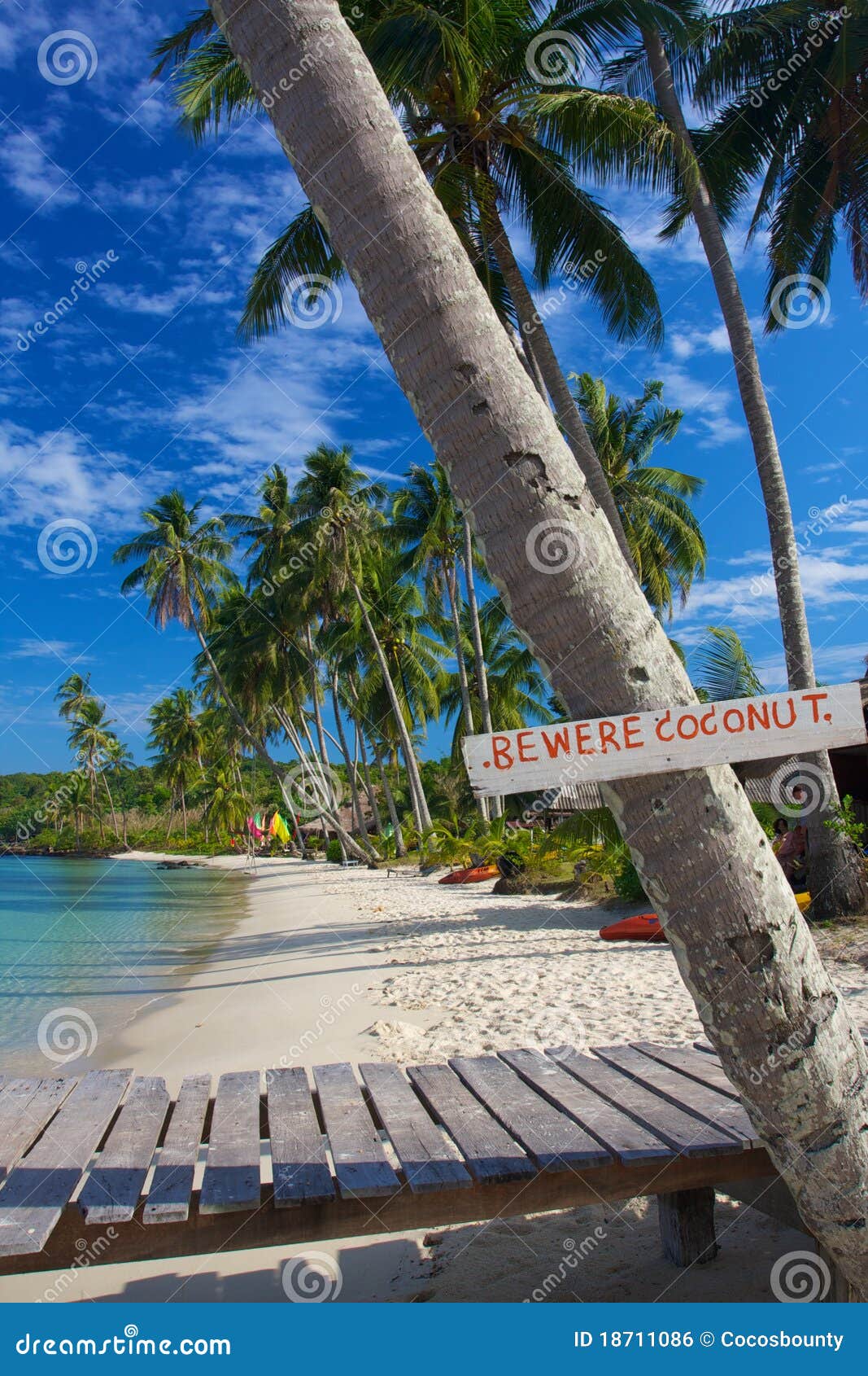 Beware Coconut stock photo. Image of destination, coco - 18711086