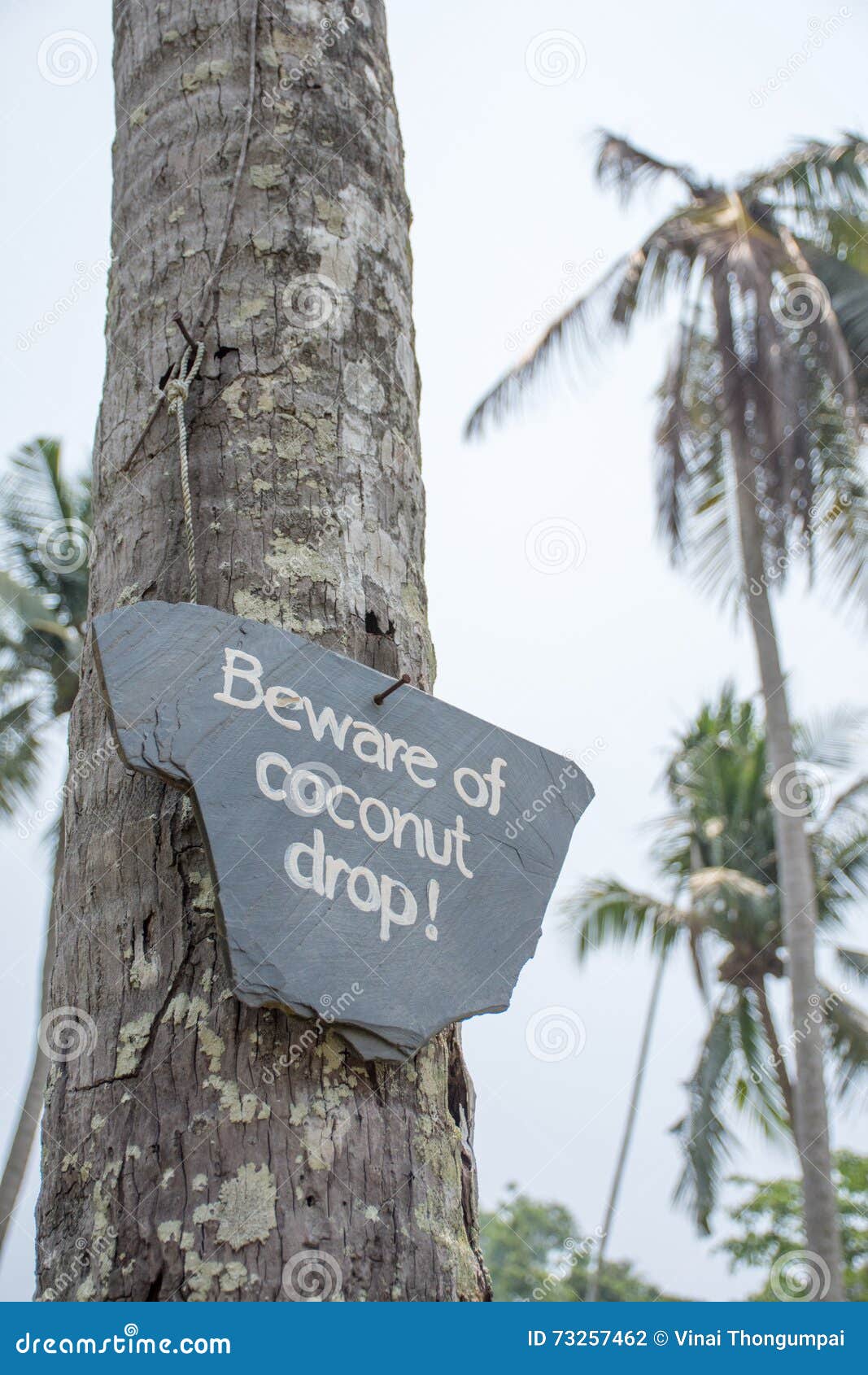 Beware of Coconut Drop Label Stock Photo - Image of mind, plate: 73257462