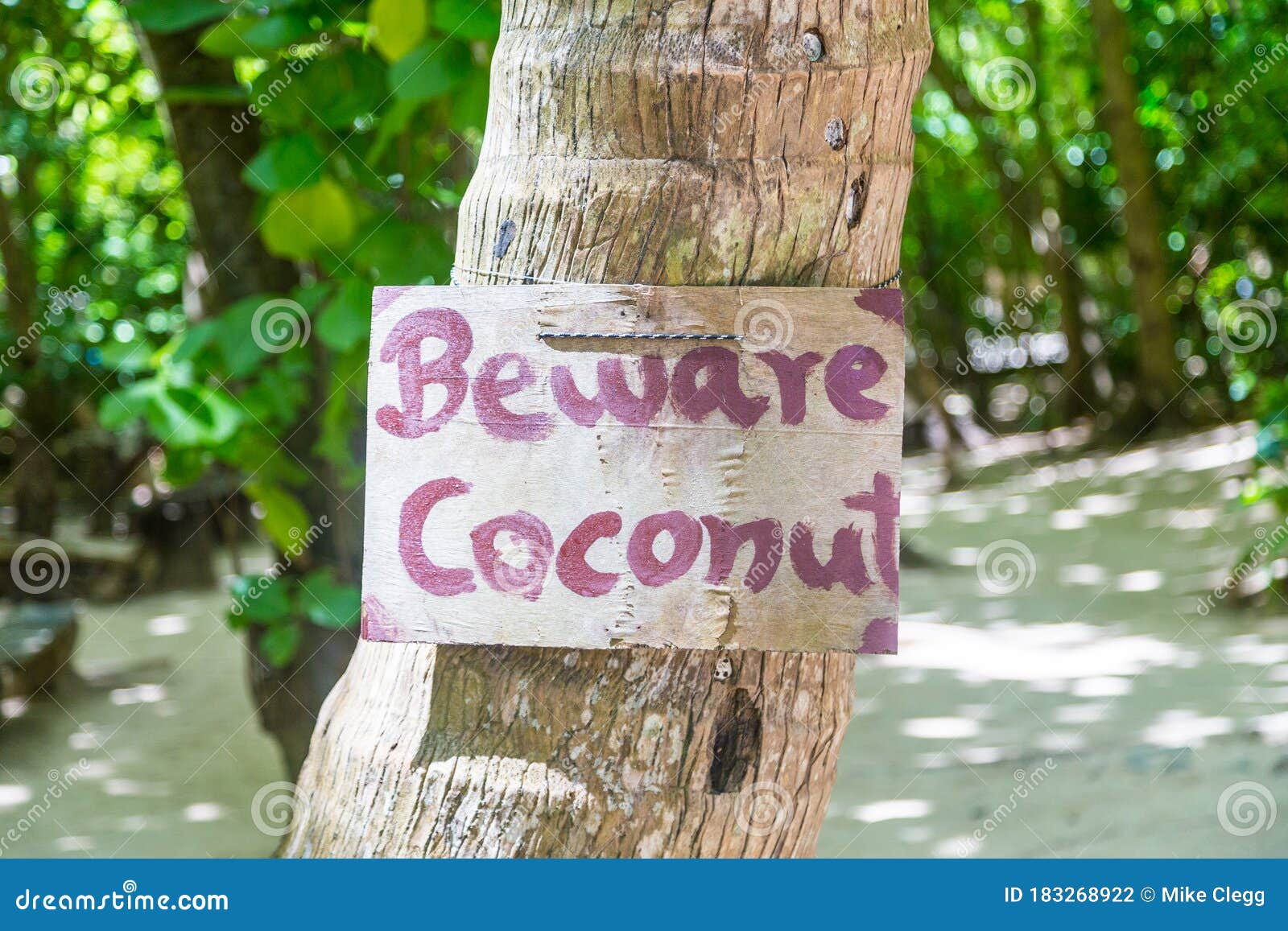 Beware Coconut sign stock photo. Image of exotic, nature - 183268922