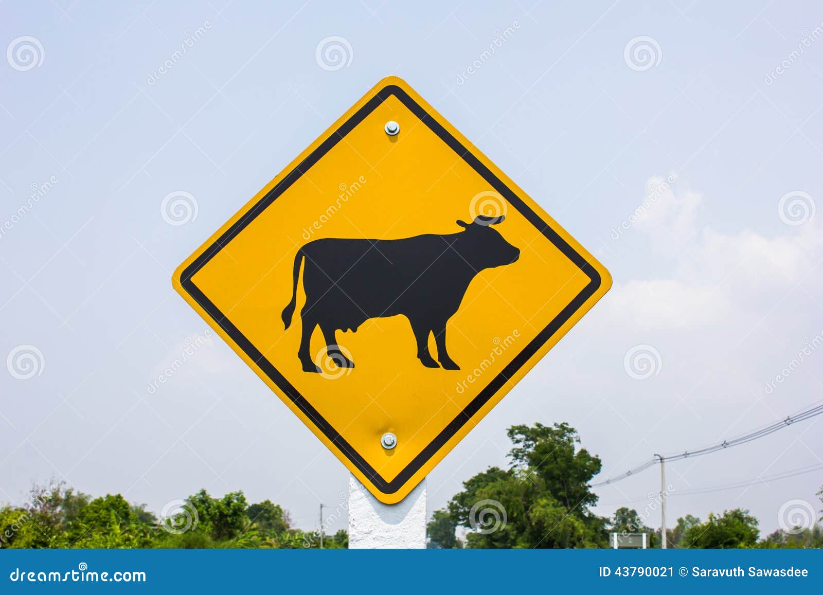 Beware Of Cow Royalty-Free Stock Photography | CartoonDealer.com #43790021