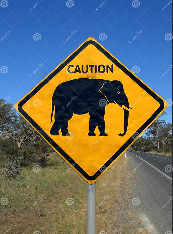 Beware of elephant stock photo. Image of yellow, color - 1267938