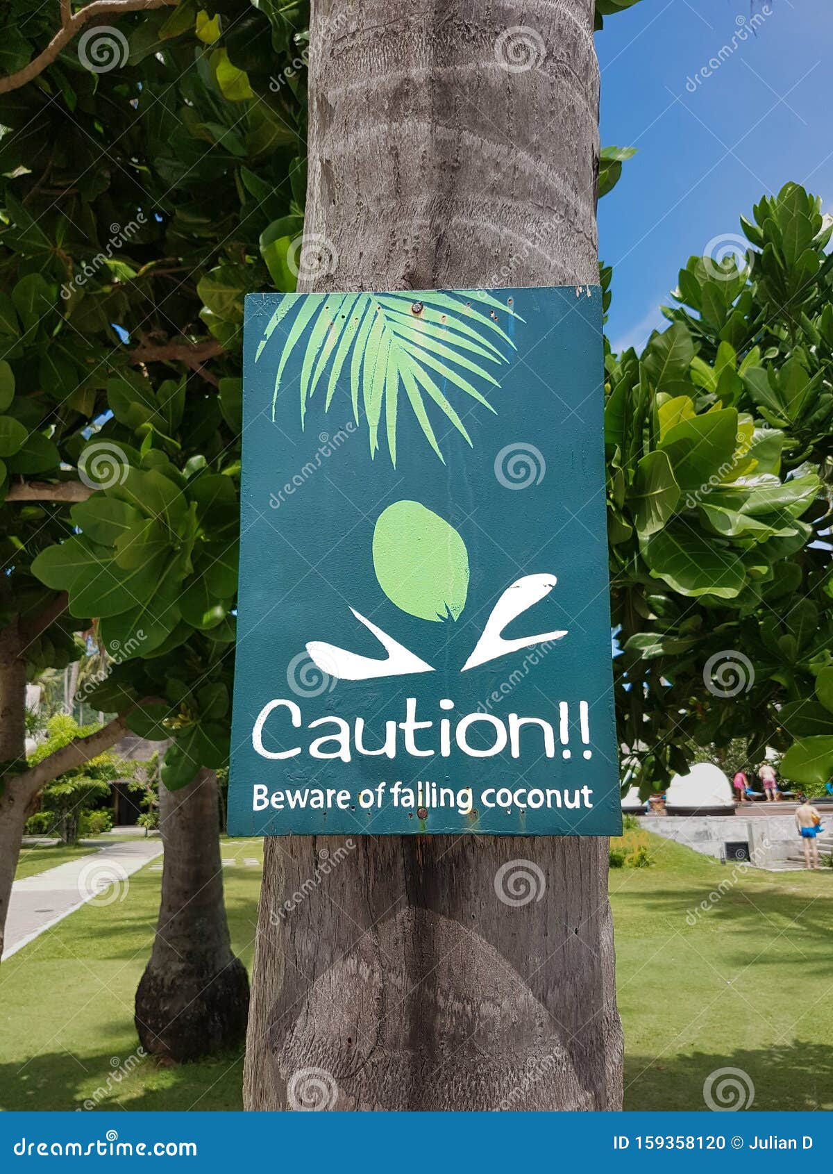 Beware of Falling Coconut Sign Stock Photo - Image of beach, coconuts ...