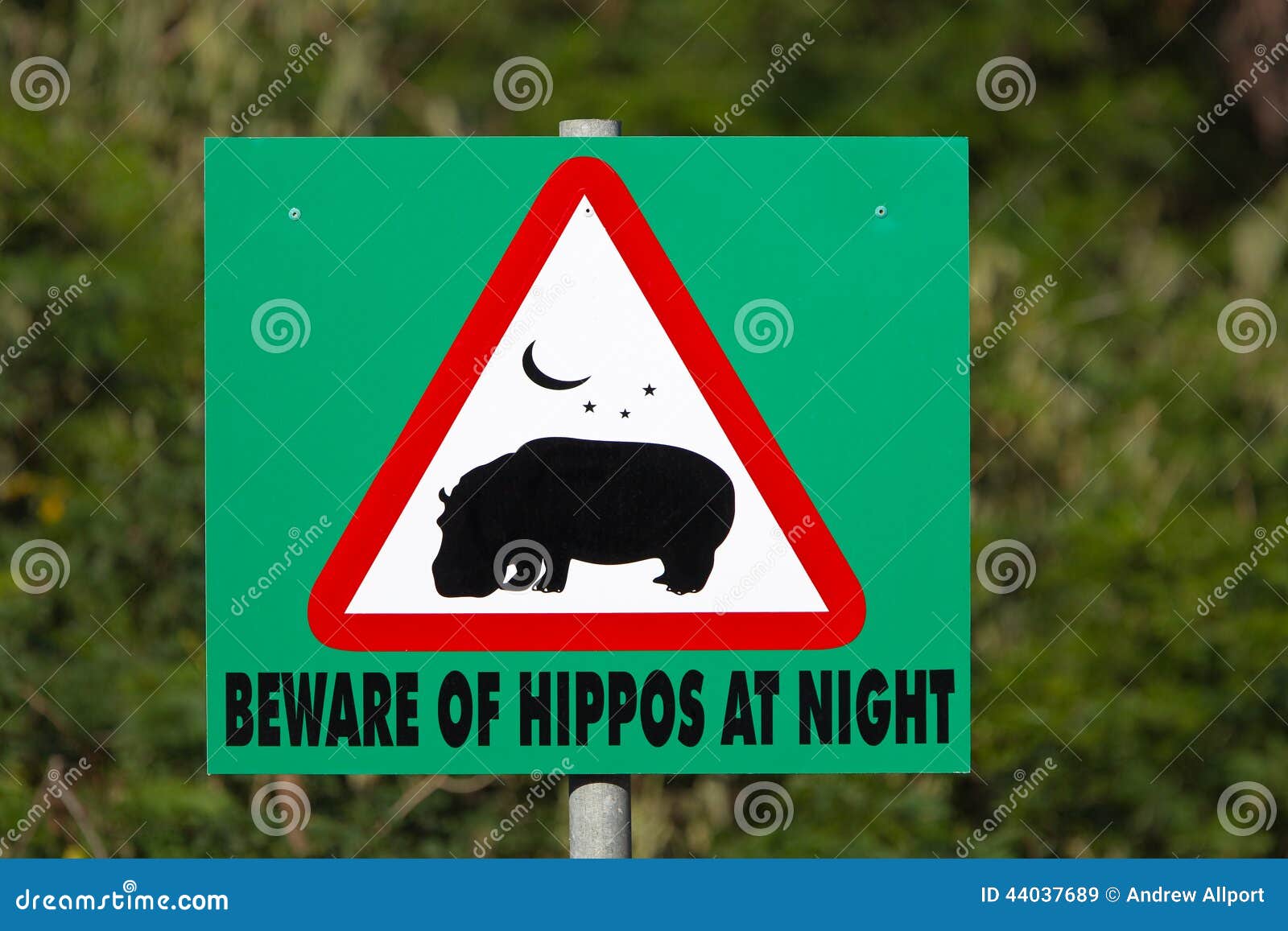 Beware of Hippos at Night Sign Stock Image - Image of signpost, hippos ...