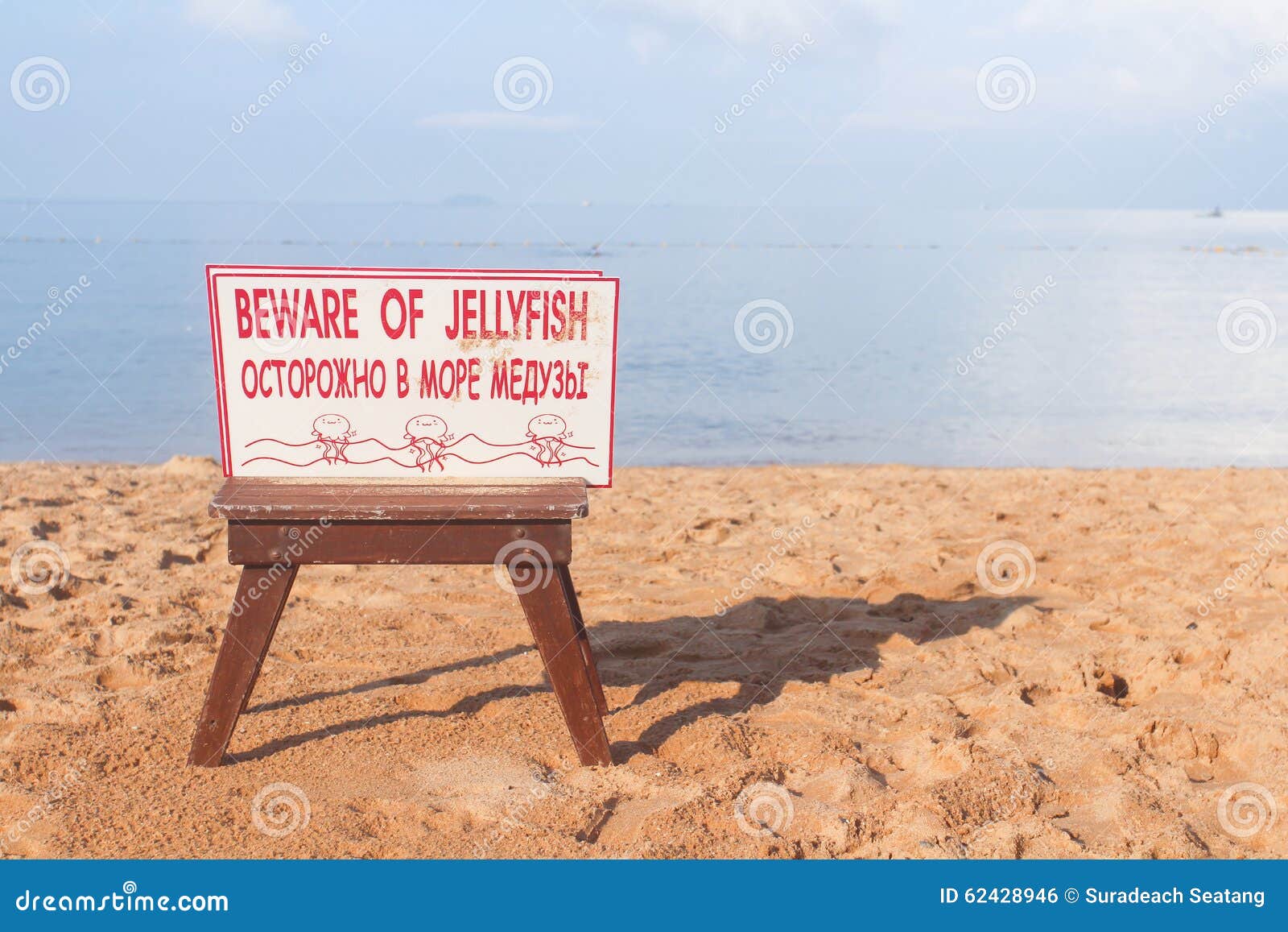 Beware Jellyfish sign stock photo. Image of signpost - 62428946