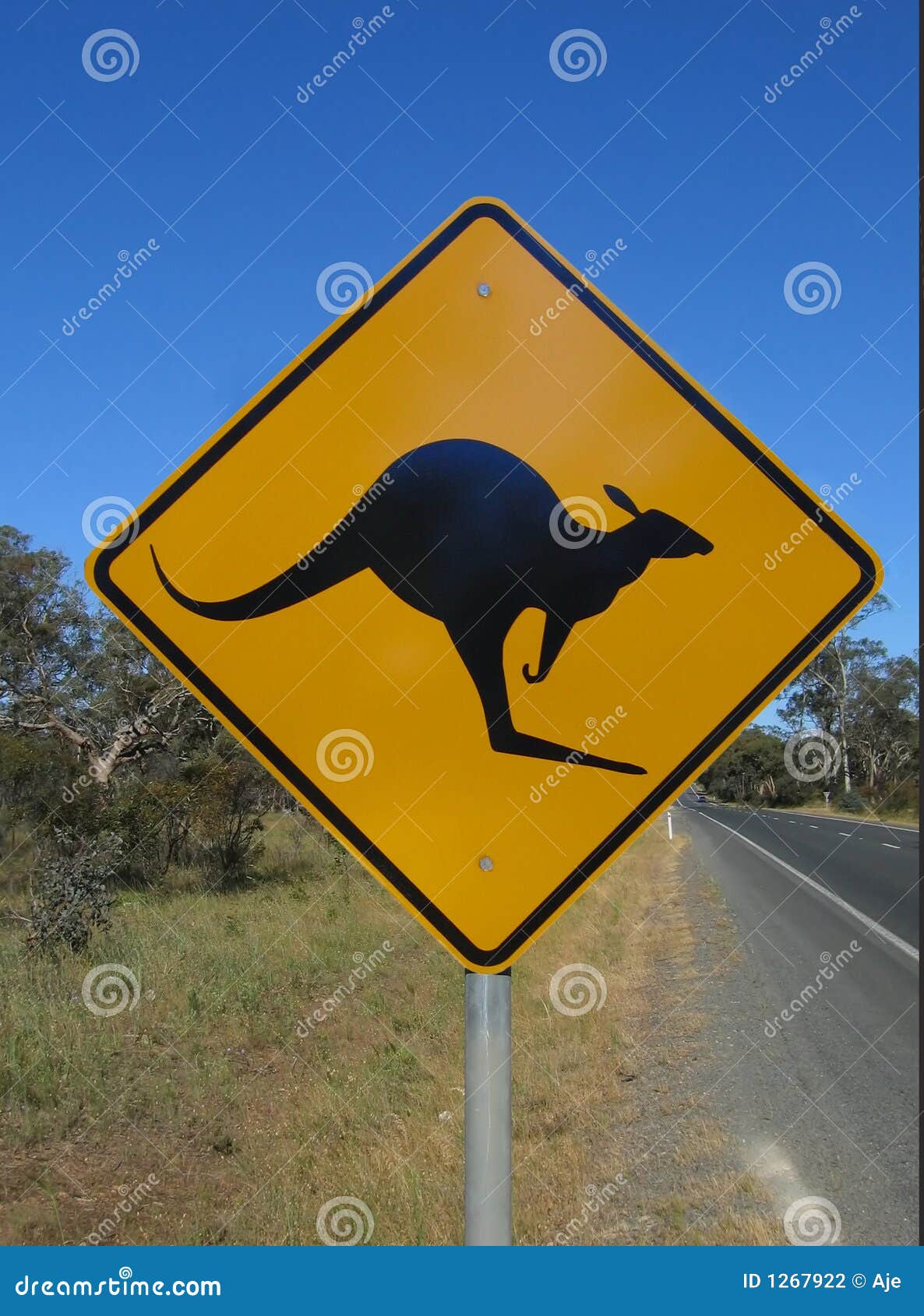 Beware of kangaroo stock photo. Image of highway, animals - 1267922