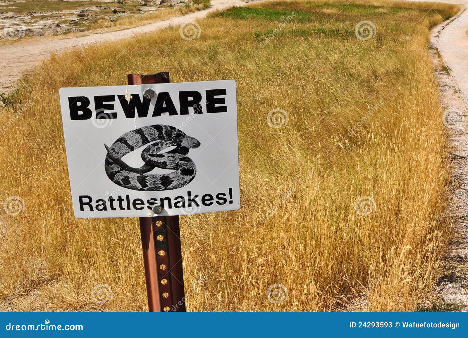 Beware Rattlesnakes stock image. Image of meadow, badlands - 24293593