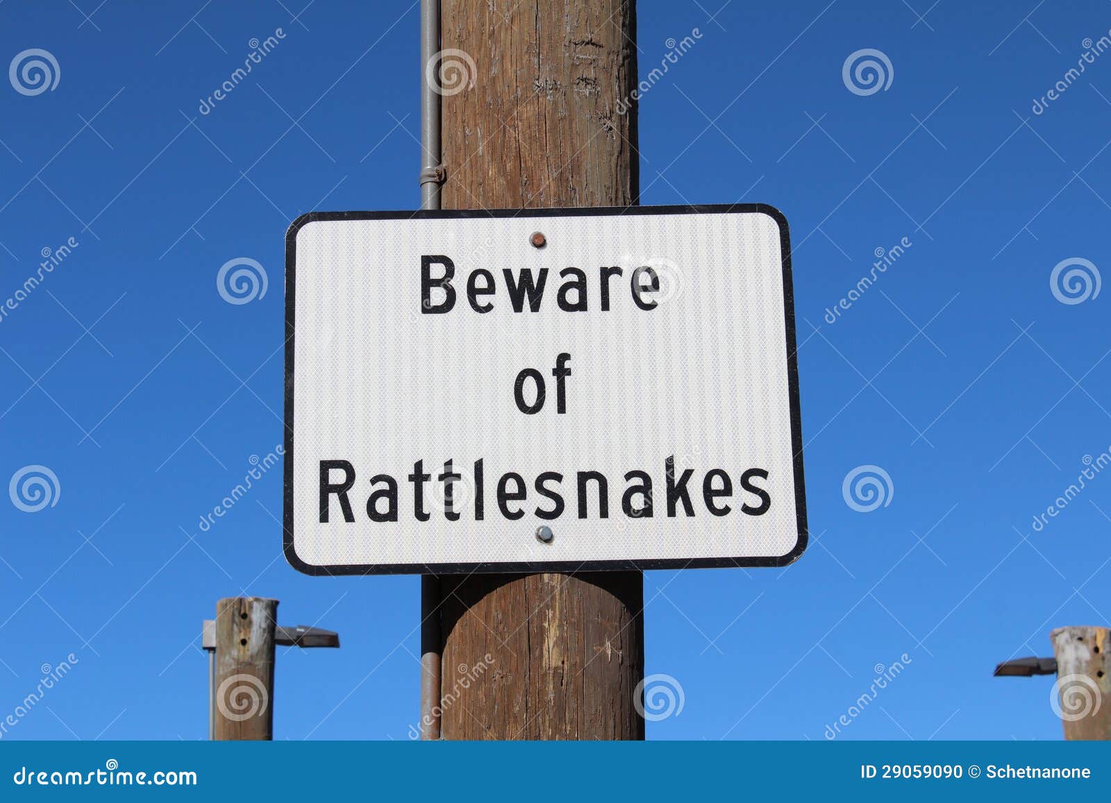 Beware of Rattlesnakes stock photo. Image of wildlife - 29059090