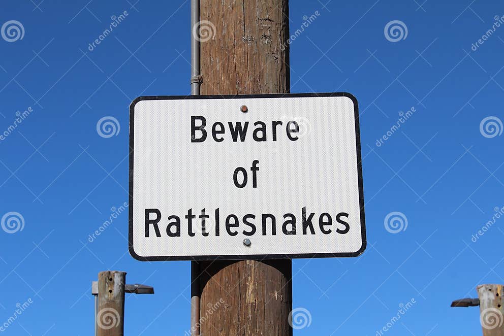 Beware of Rattlesnakes stock photo. Image of wildlife - 29059090